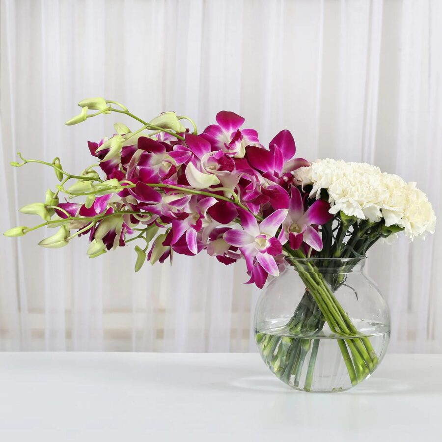 Best Garden– Bloomsy