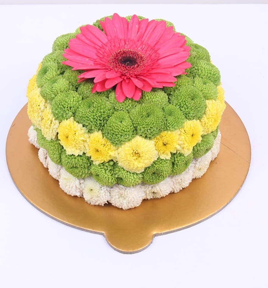 Soft as Us– Bloomsy