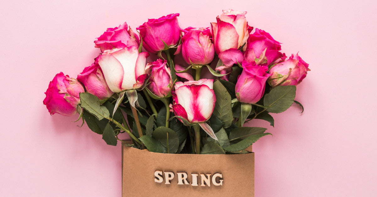 Send Flowers Online | Flower Delivery in India– Bloomsy