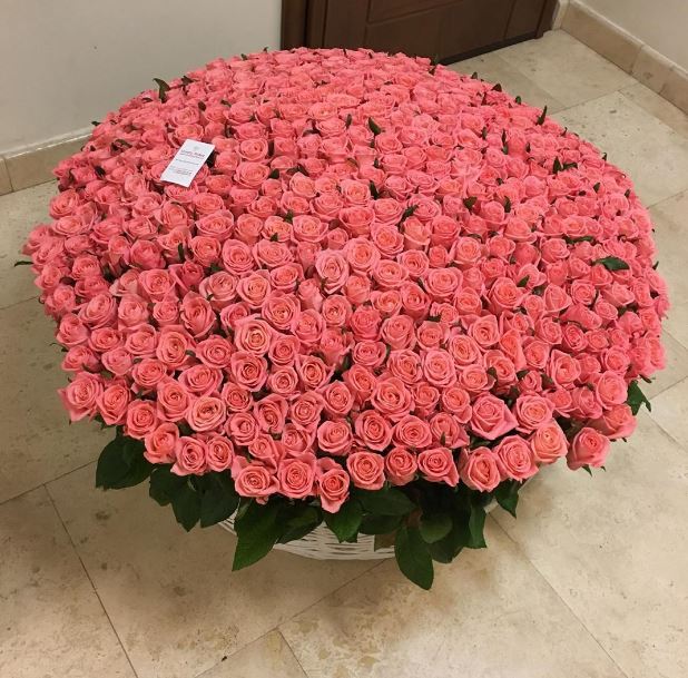 Love Song– Bloomsy